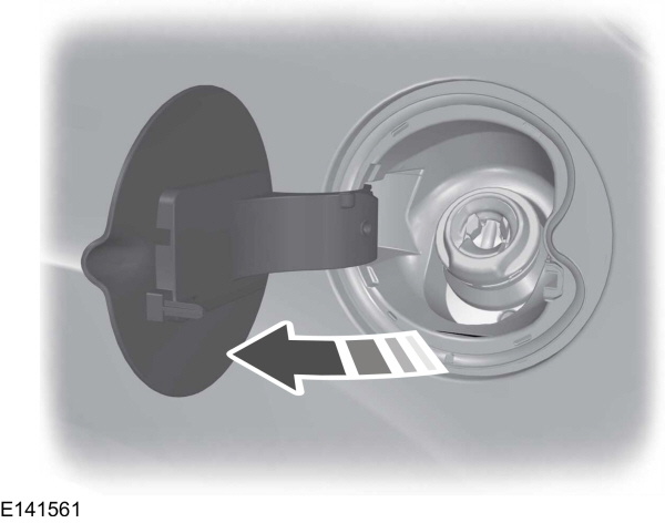 Image Shown Without Description