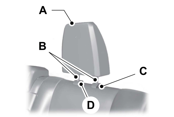 Rear Outboard Head Restraint