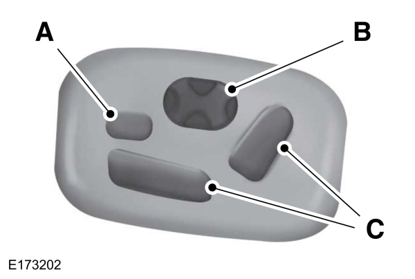 Multi-Contour Active Motion