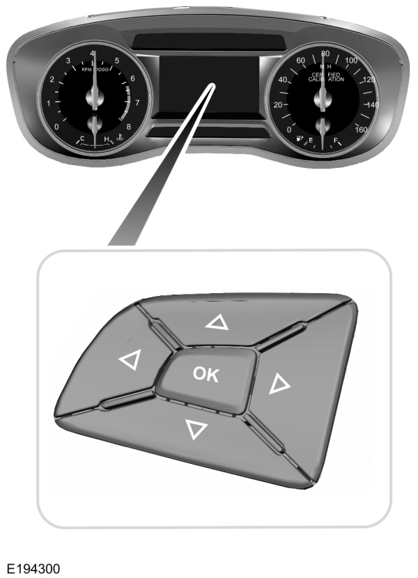 Instrument Cluster Display Controls
