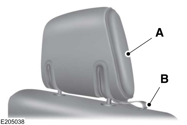 Adjusting the Head Restraint