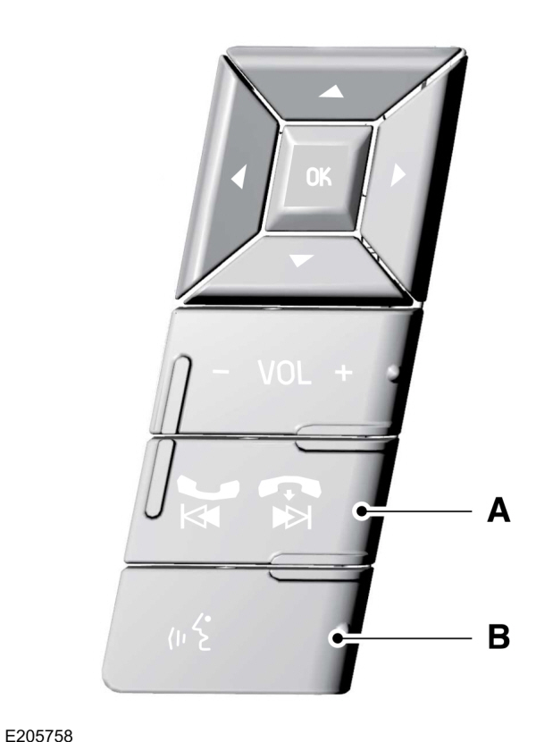 Voice Control Buttons
