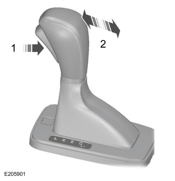 Image Shown Without Description