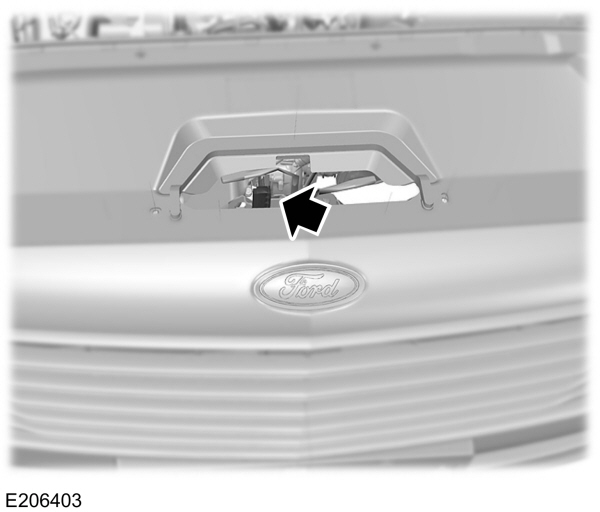 Image Shown Without Description