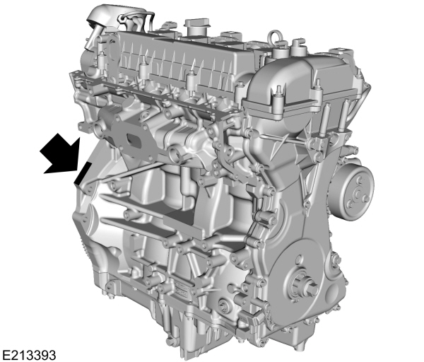 Image Shown Without Description