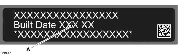 Image Shown Without Description