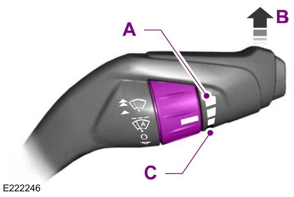 Image Shown Without Description