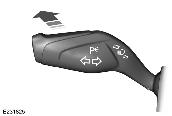 Image Shown Without Description
