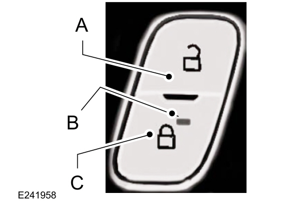 Image Shown Without Description
