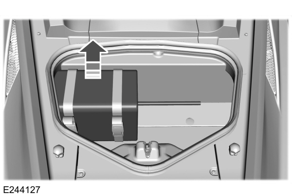 Tire Sealant and Inflator Kit Location