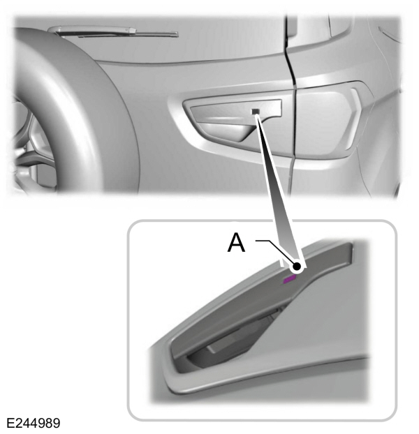 Image Shown Without Description