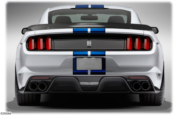 Shelby GT350 - Rear View