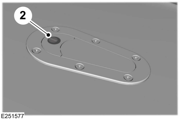 Rear Hatch Release Button