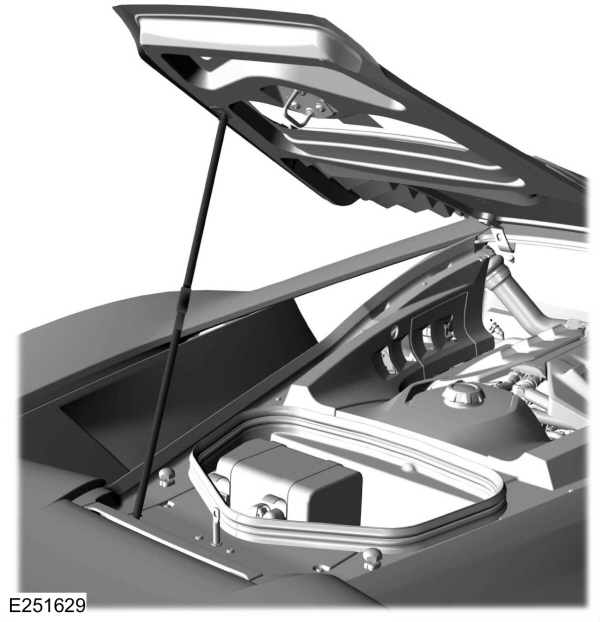 Rear Hatch Kick Stand