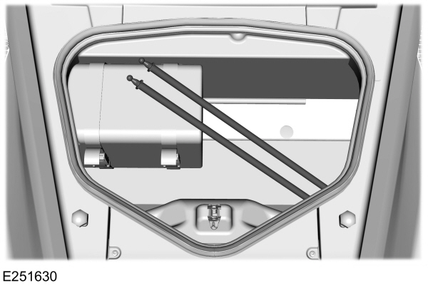 Rear Hatch Storage Compartment
