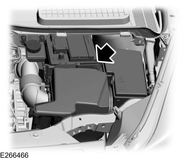 Image Shown Without Description