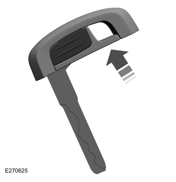 Image Shown Without Description