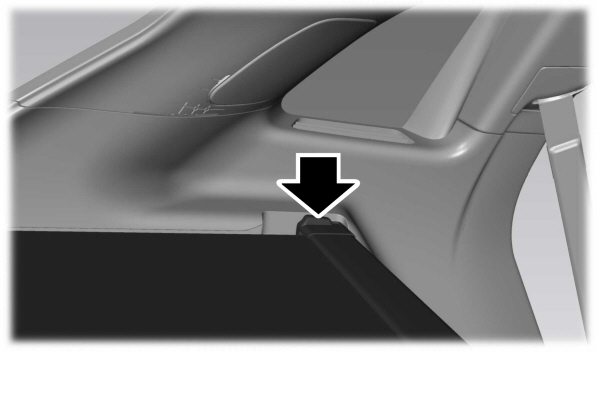 Rear Trim for Luggage Covers