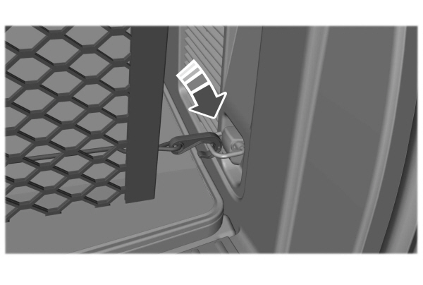 Cargo Net Anchor and Hook