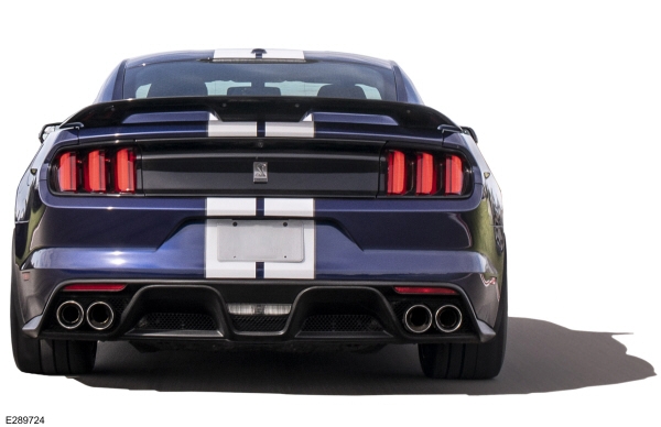 Mustang GT350 Rear View