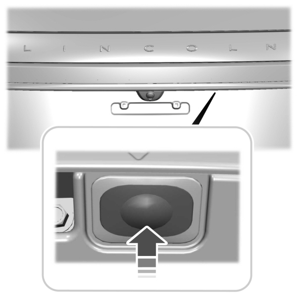 Liftgate External Buton