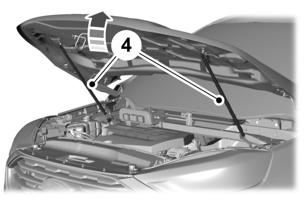 Image Shown Without Description