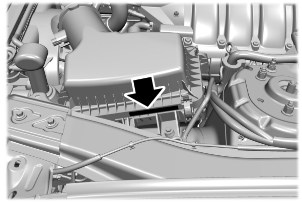 Image Shown Without Description