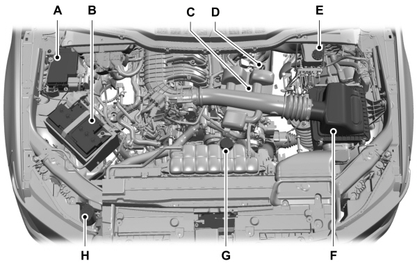 Engine Under Hood Overview
