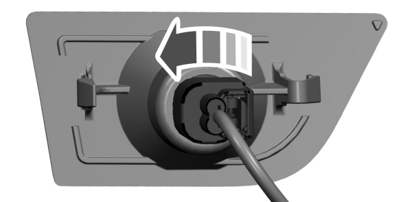 Image Shown Without Description