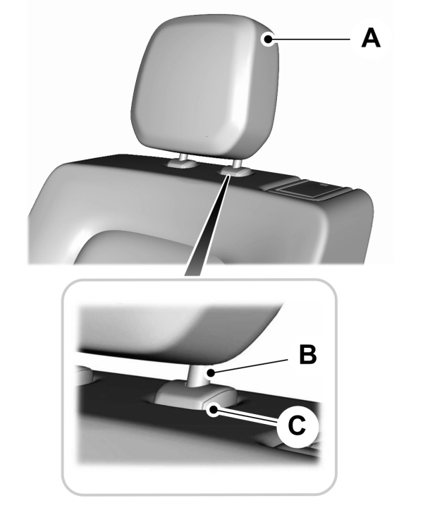 Image Shown Without Description