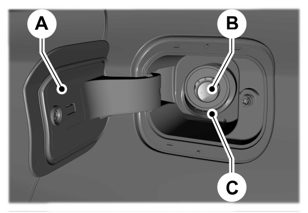 Image Shown Without Description