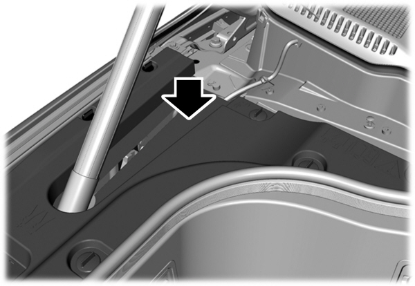 Image Shown Without Description