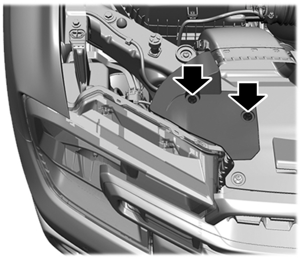 Image Shown Without Description