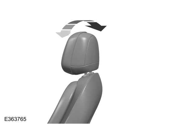 Image Shown Without Description
