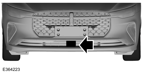 Image Shown Without Description