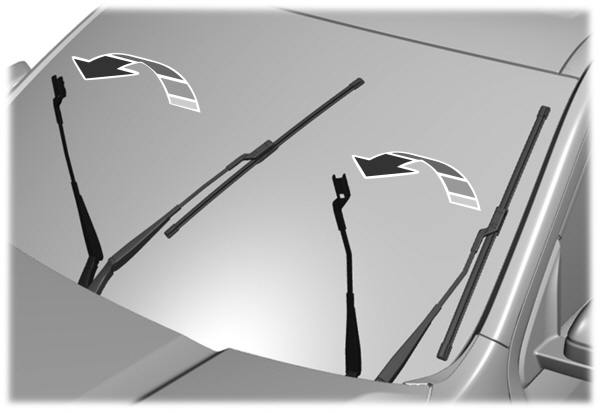 Image Shown Without Description