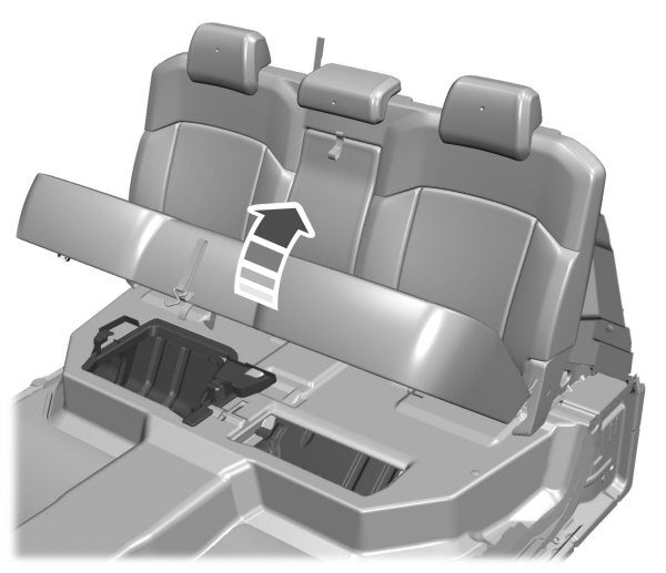 Image Shown Without Description