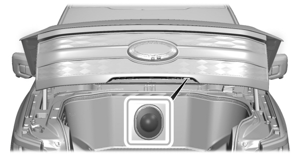 Image Shown Without Description