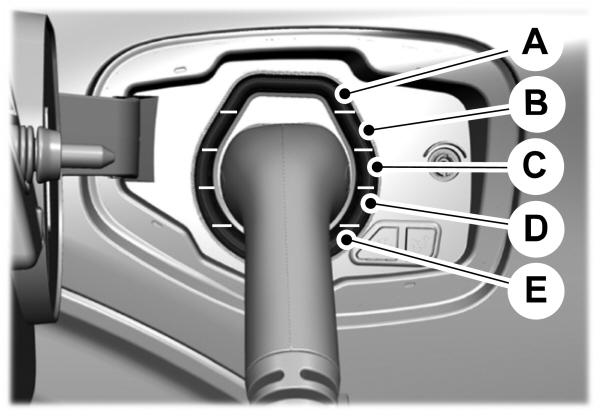 Image Shown Without Description