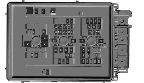 Image Shown Without Description