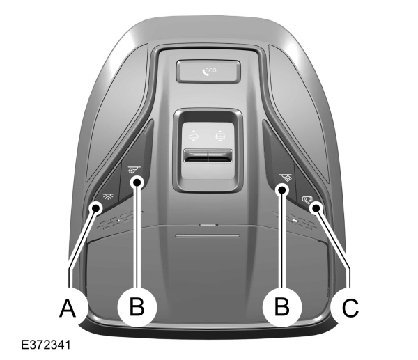 Image Shown Without Description