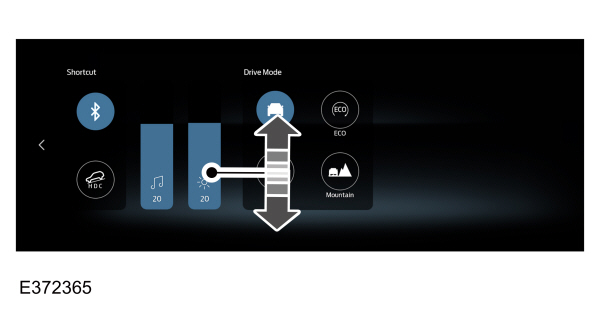 Image Shown Without Description