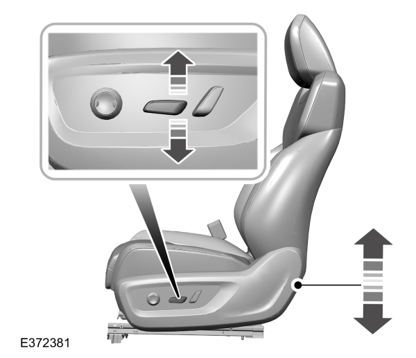 Image Shown Without Description