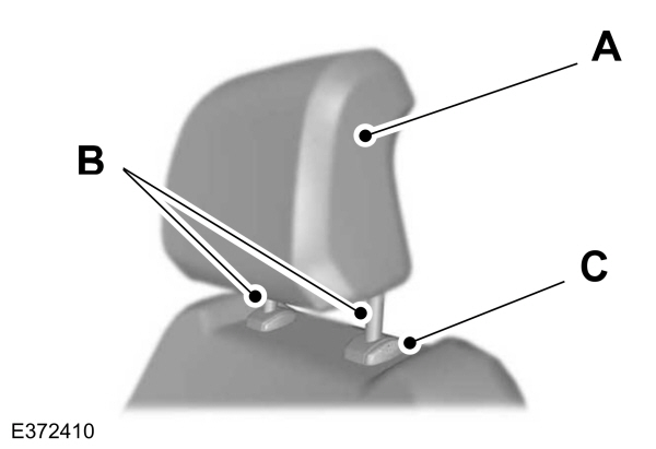 Image Shown Without Description