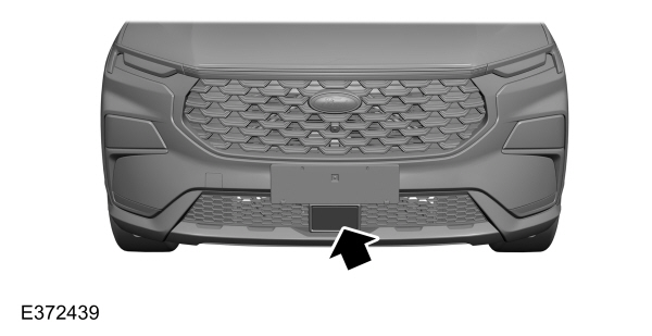 Image Shown Without Description