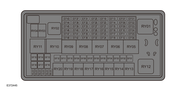 Image Shown Without Description