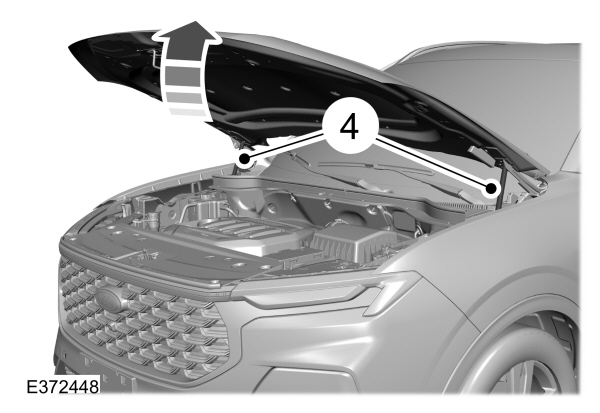 Image Shown Without Description