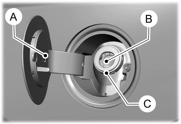 Image Shown Without Description