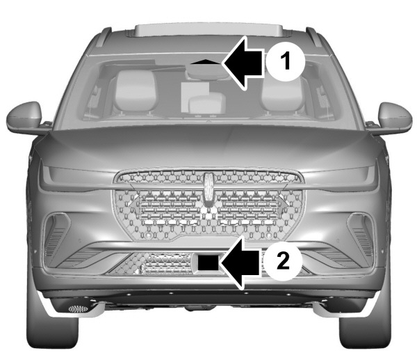 Image Shown Without Description