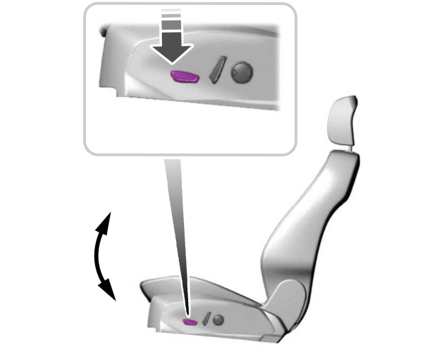 Image Shown Without Description